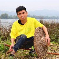 村草罗有为 