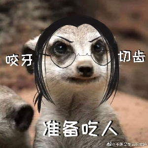 君姝澈 