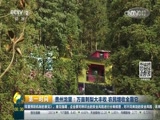 [第一时间]贵州龙里:万亩刺梨大丰收 农民增收全靠它
