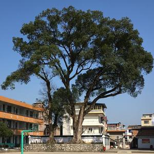 何以解忧唯有释怀 