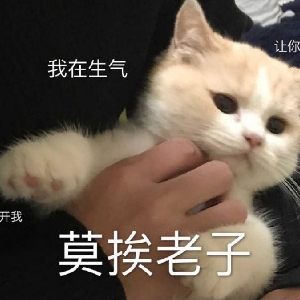 双i树 