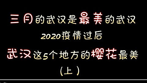 三月的武汉是最美的武汉,2020疫情过后,武汉这5个地方的樱花最美
