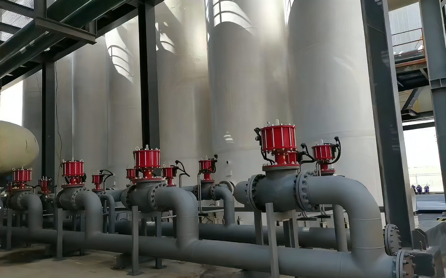 中国森林碳汇的发展对实现碳中和目标具有重要意义