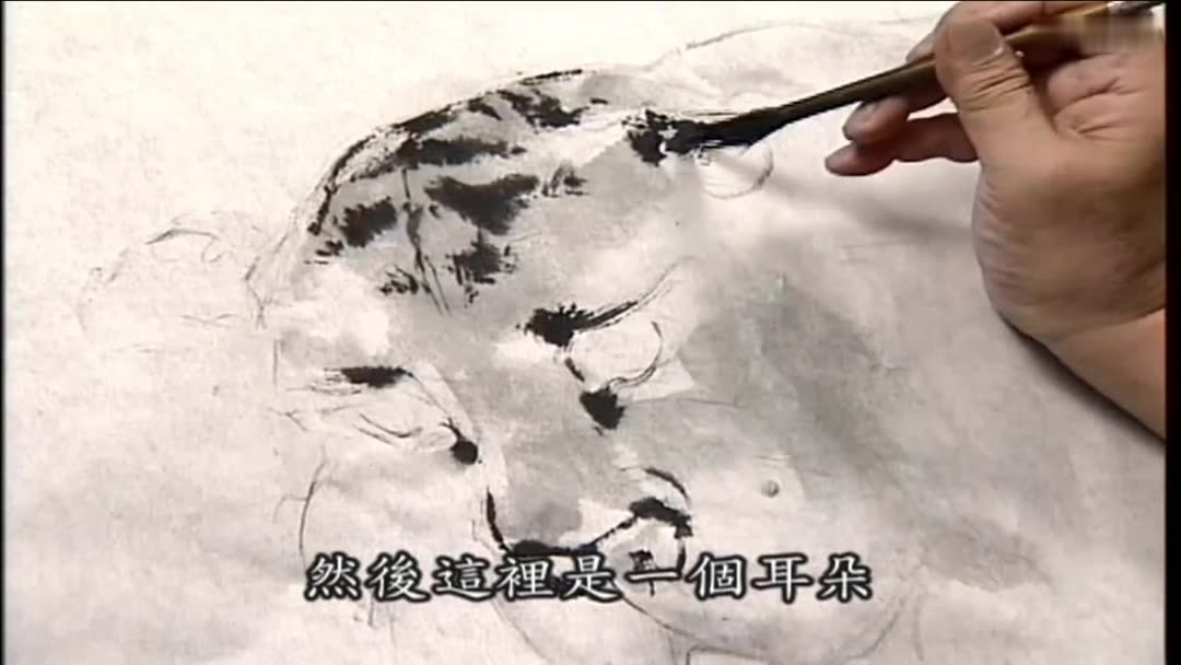 看高手画写意老虎技巧-水墨画老虎技法
