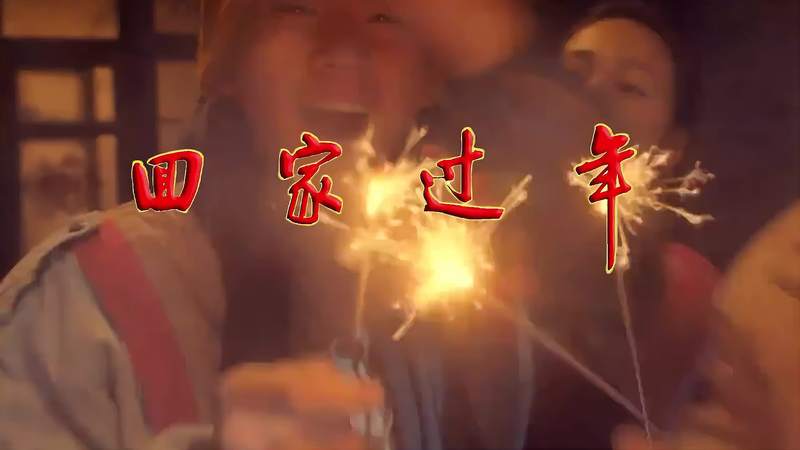 回家过年-刘小雅