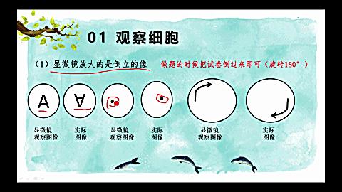 1.2细胞的多样性和统一性