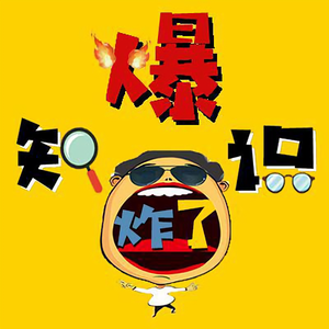 爆炸了知识 