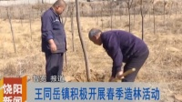 饶阳融媒:王同岳镇积极开展春季造林活动