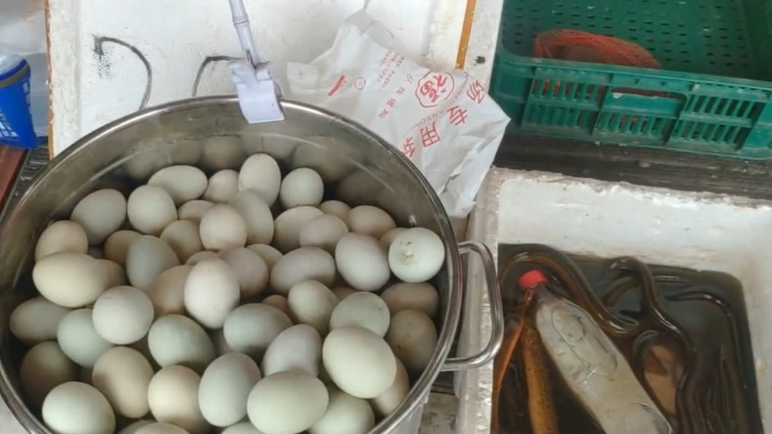 湖南人在苏州,看看立夏节吃什么异地他乡,传统美食文化不能丢