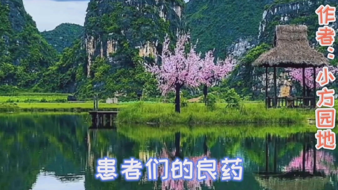 抗击疫情,我们每个人都有义务,百花香版歌曲抗击新冠!