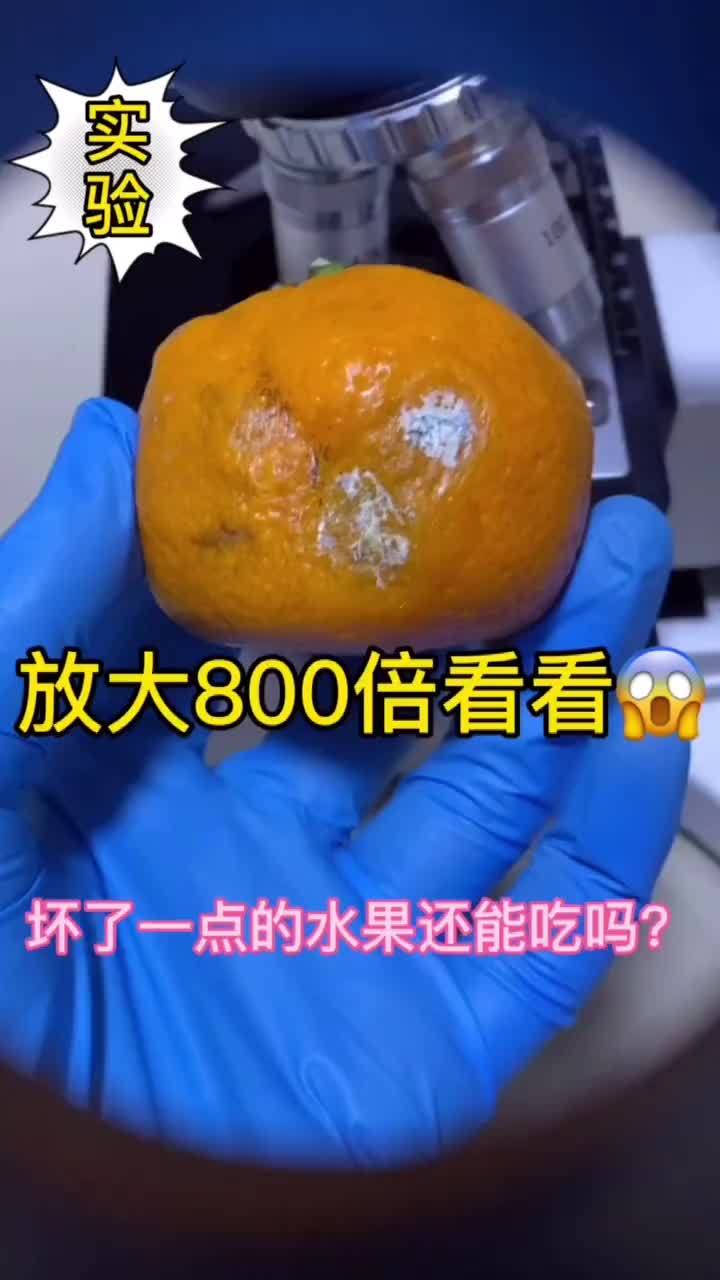 显微镜所以快保存分享给身边的老人看看吧