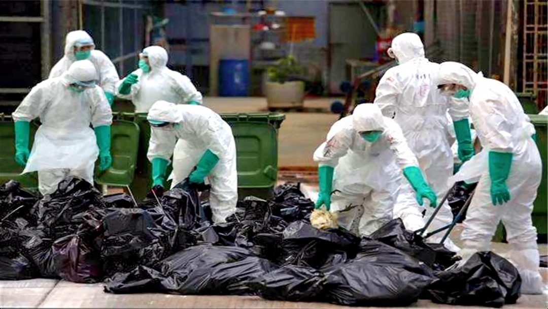 邀请我国医生?美方为抗疫放下身段,张召忠:你们的医生呢?