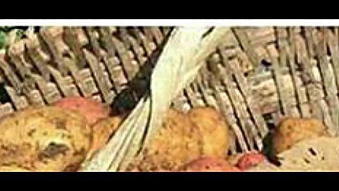 紫阳县电子商务进农村--电商扶贫宣传片