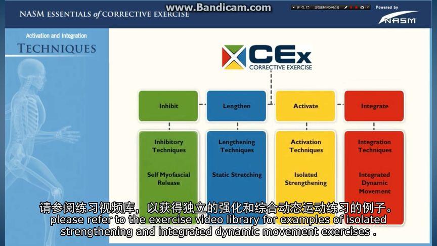 NASM-CES纠正训练专栏:第54课概要