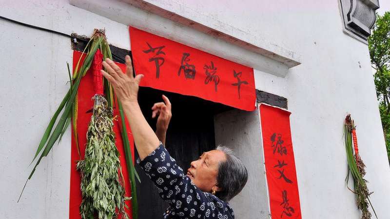 端午节前后要注意养生,你知道艾叶的真正作用是什么?