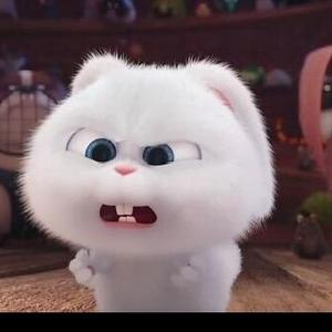 恐怖躲猫猫2丸子头 