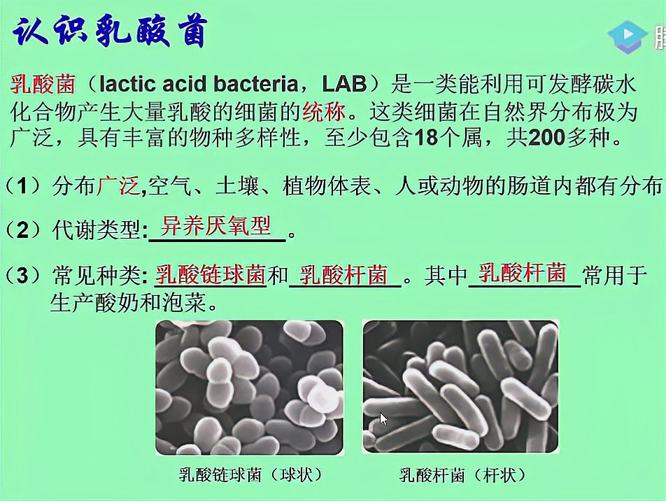 高中生物-一步步教你-泡菜制作和硝酸盐的测定-深圳李久文老师