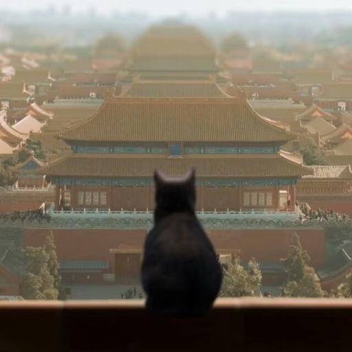 云舍间 