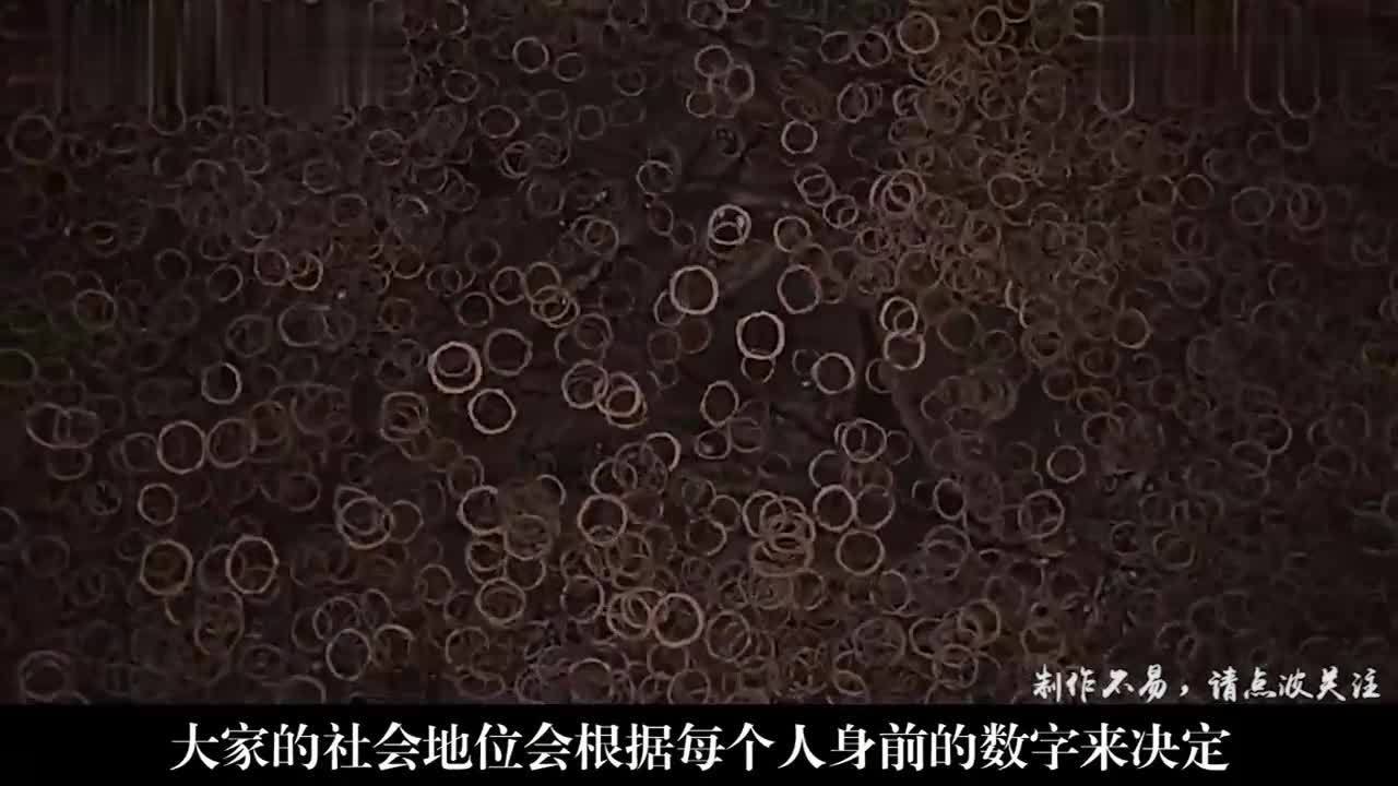 人类靠数字决定地位,数值为零的妈妈,生下的孩子却是无穷大