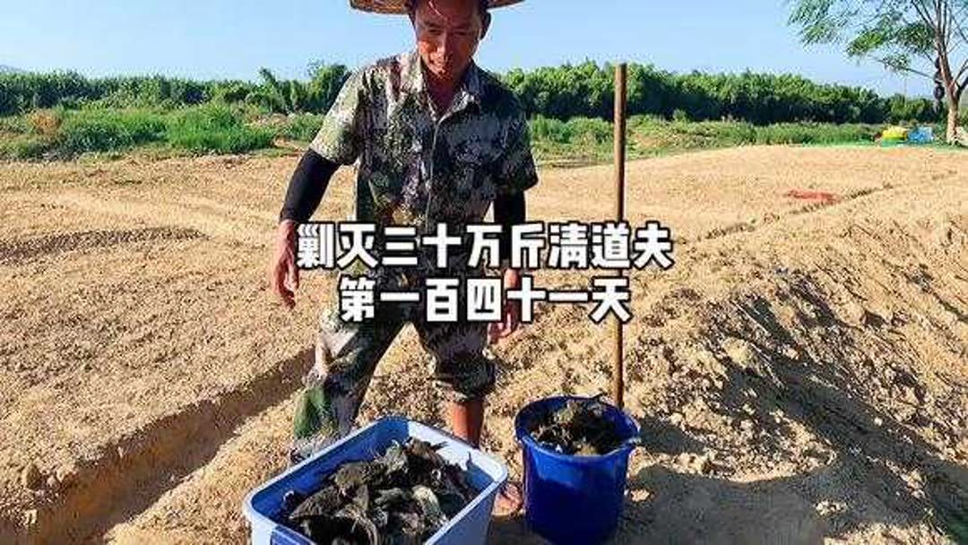 #清道夫 剿灭历程。道路艰辛。坚持这份责任。#保护生态环境