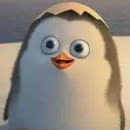 快乐当然有一点咯 