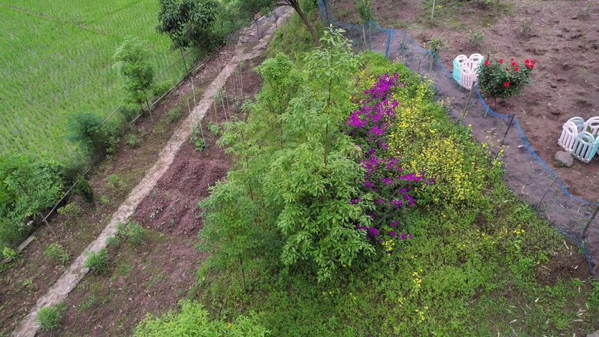 高压线杆塔大型烟高大煞物直插住宅大门方位 择天解日布八卦罗盘