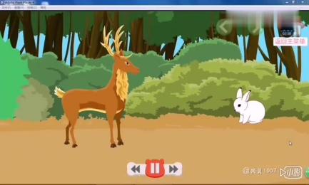 动物有哪些方式过冬