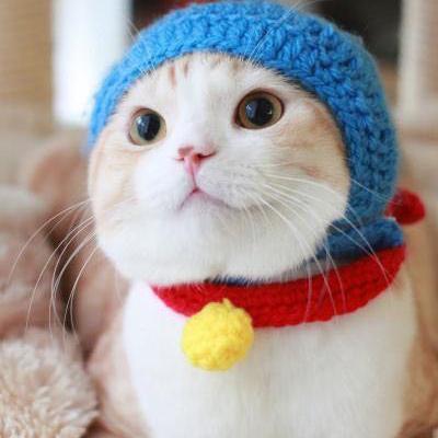 用户2449338100617239 