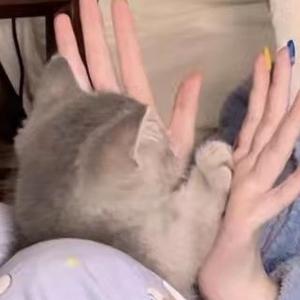 如愿说科普 