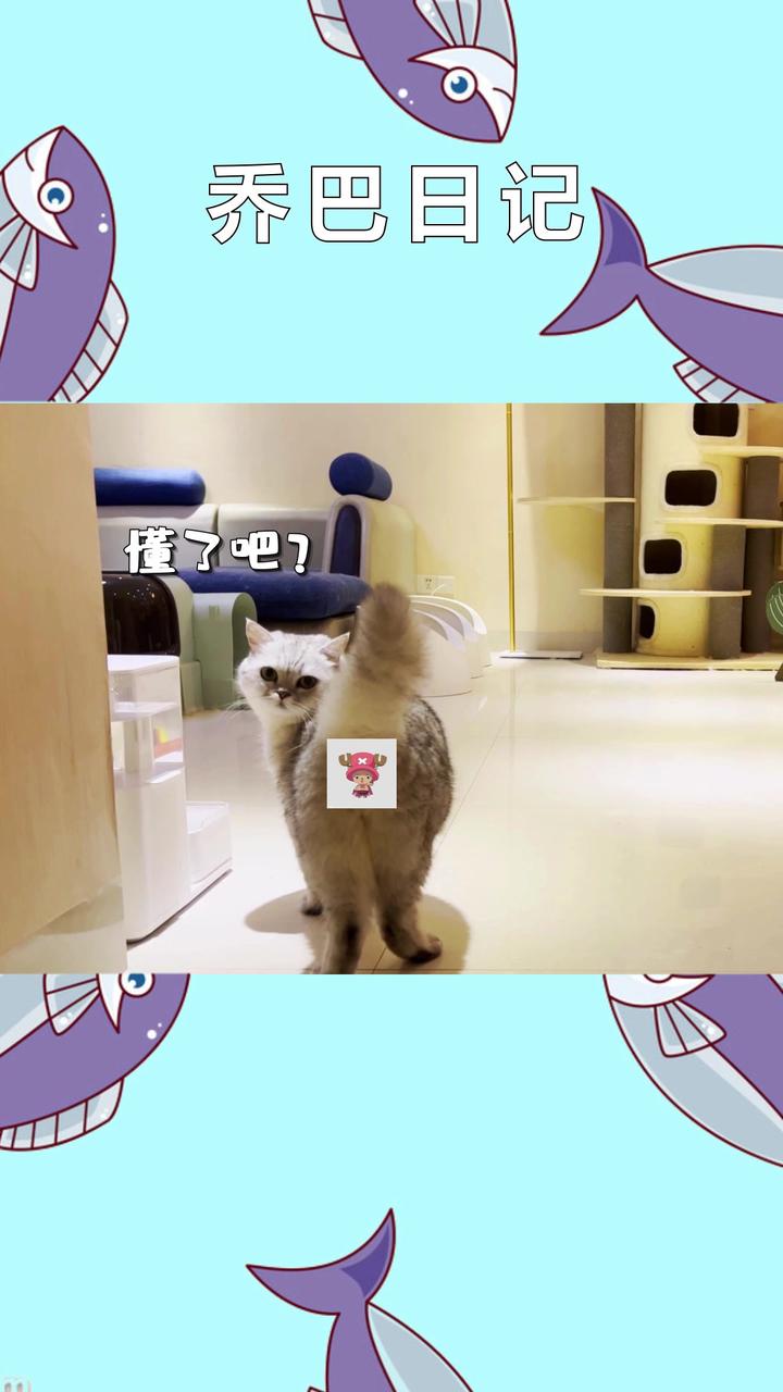 让你模仿,没让你超越#猫咪 #意不意外 #动物的迷惑行为