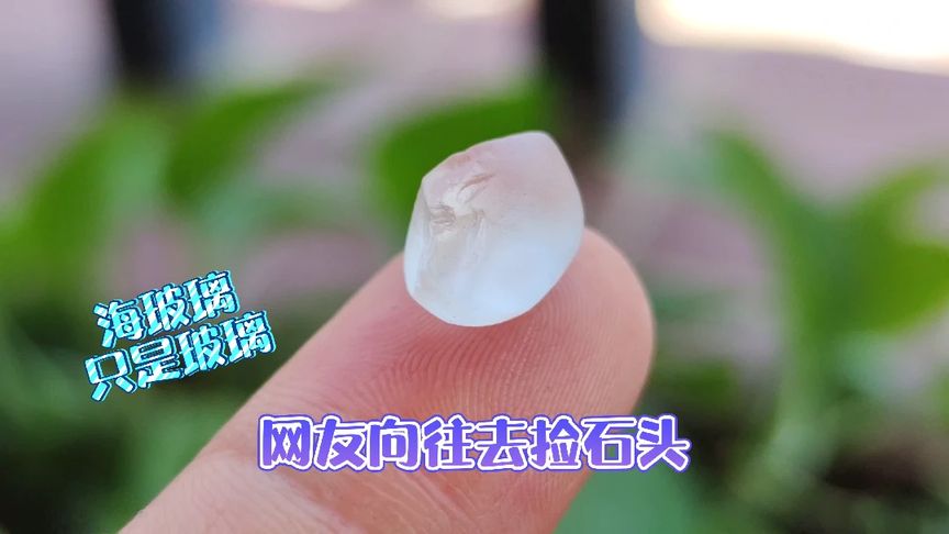 网友都很向往去捡石头,去的时候记得带上水和“螺丝刀”