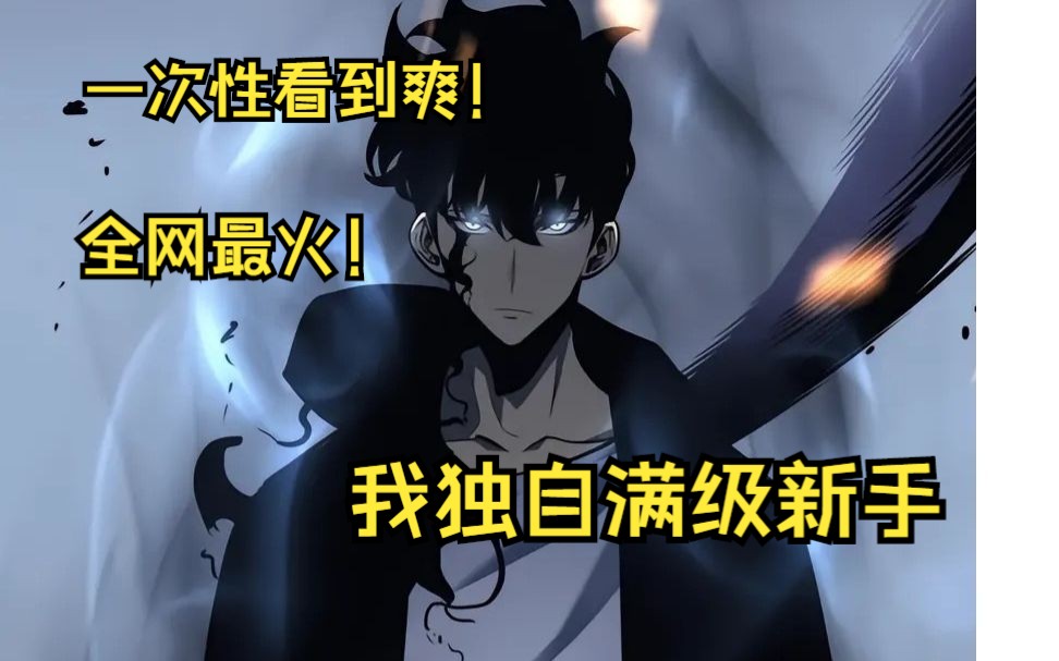 一口气看完一部漫画【我独自满级新手】一次性看过瘾!当游戏变为...