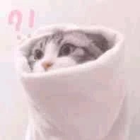 夙愿得偿始知伤痛 