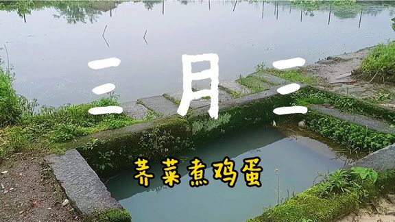 三月三,今天你吃了荠菜煮鸡蛋吗?