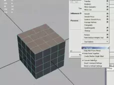 MAYA视频教程第三章多边形建模菜单讲解8