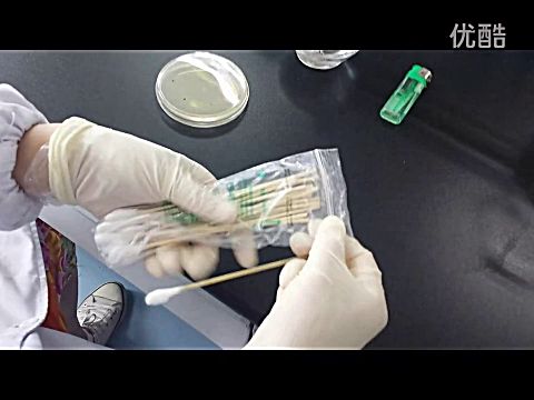 抗菌药物敏感试验(K-B法)