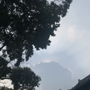 王王王文儿 