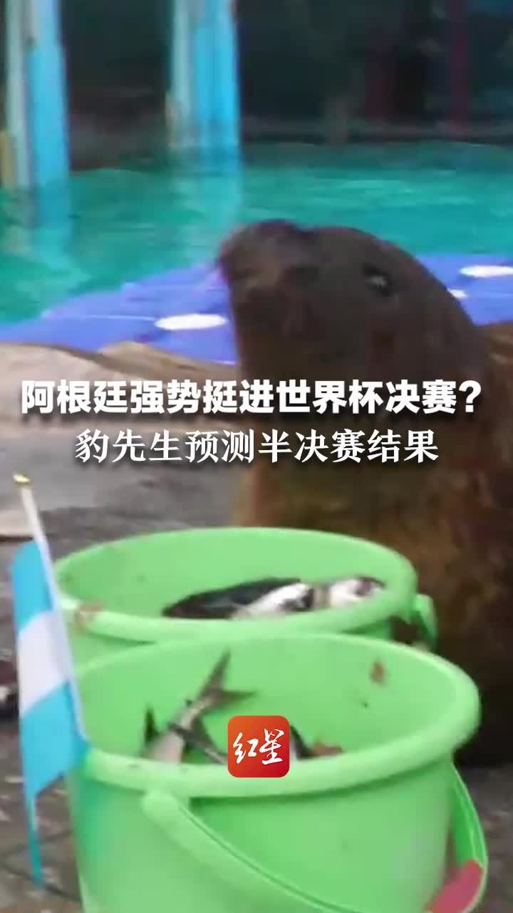 阿根廷强势挺进世界杯决赛?豹先生预测半决赛结果