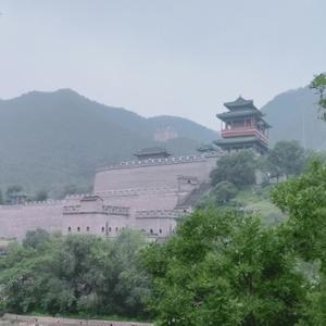 多彩枫叶zz 