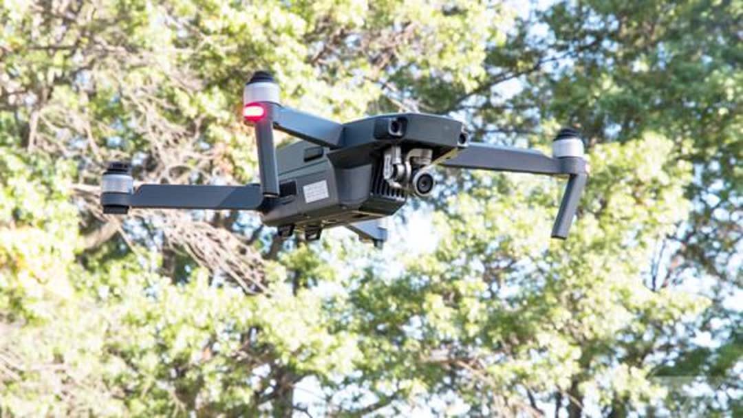 马蜂窝遭强拆,无人机大战马蜂军团