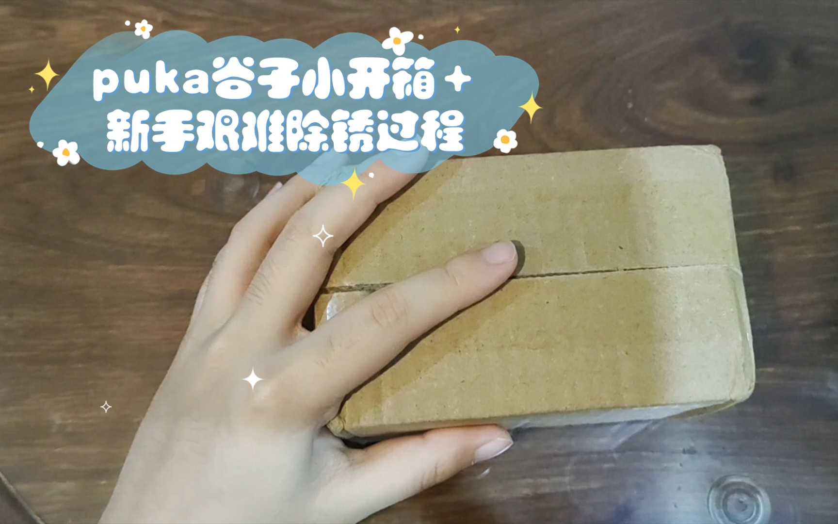 【es开箱】puka谷子小开箱+新手艰难除锈过程
