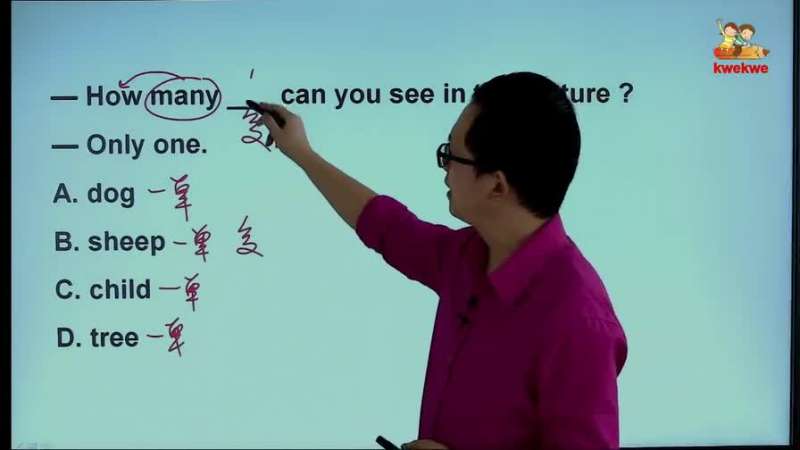 第3集 可数名词单复数的5条不规则变化