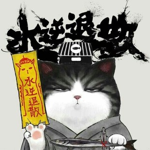 黑鸦与黑猫 