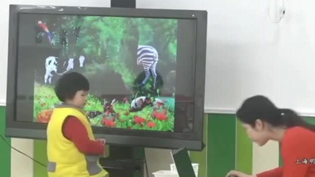 幼儿园小班科学领域教案《动物的花花衣》课件