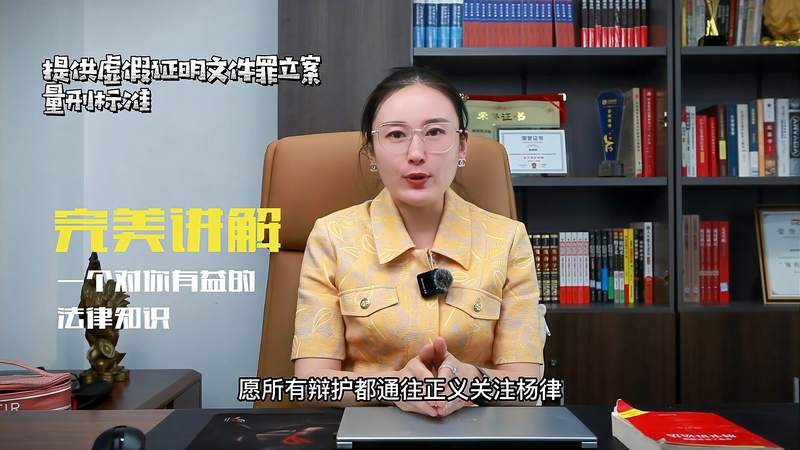 提供虚假证明文件罪立案量刑标准