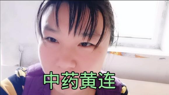 中药黄连,古人以黄连治痢之最,它的功效非常广泛!