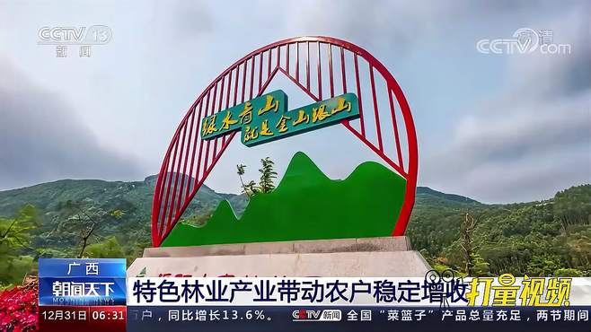 三大千亿元产业!广西推动特色林业产业发展,带动农户稳定增收