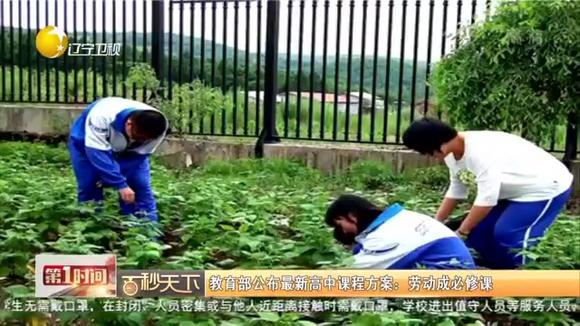 教育部公布最新高中课程方案:劳动成高中必修课
