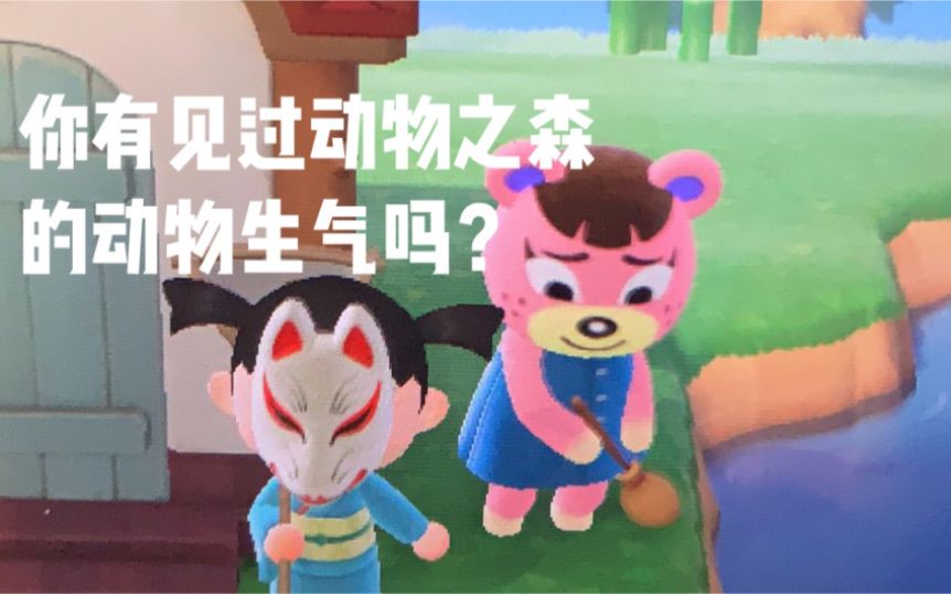 【动物之森】你有见过小动物生气吗?脾气最差的小动物是.?