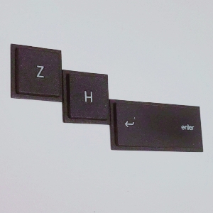 ZH的企鹅8552500 